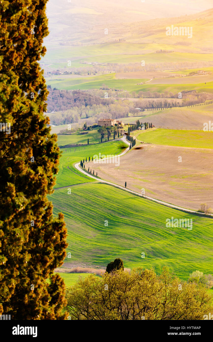 Tuscany, spring landscape, rolling hills at sunset Stock Photo - Alamy