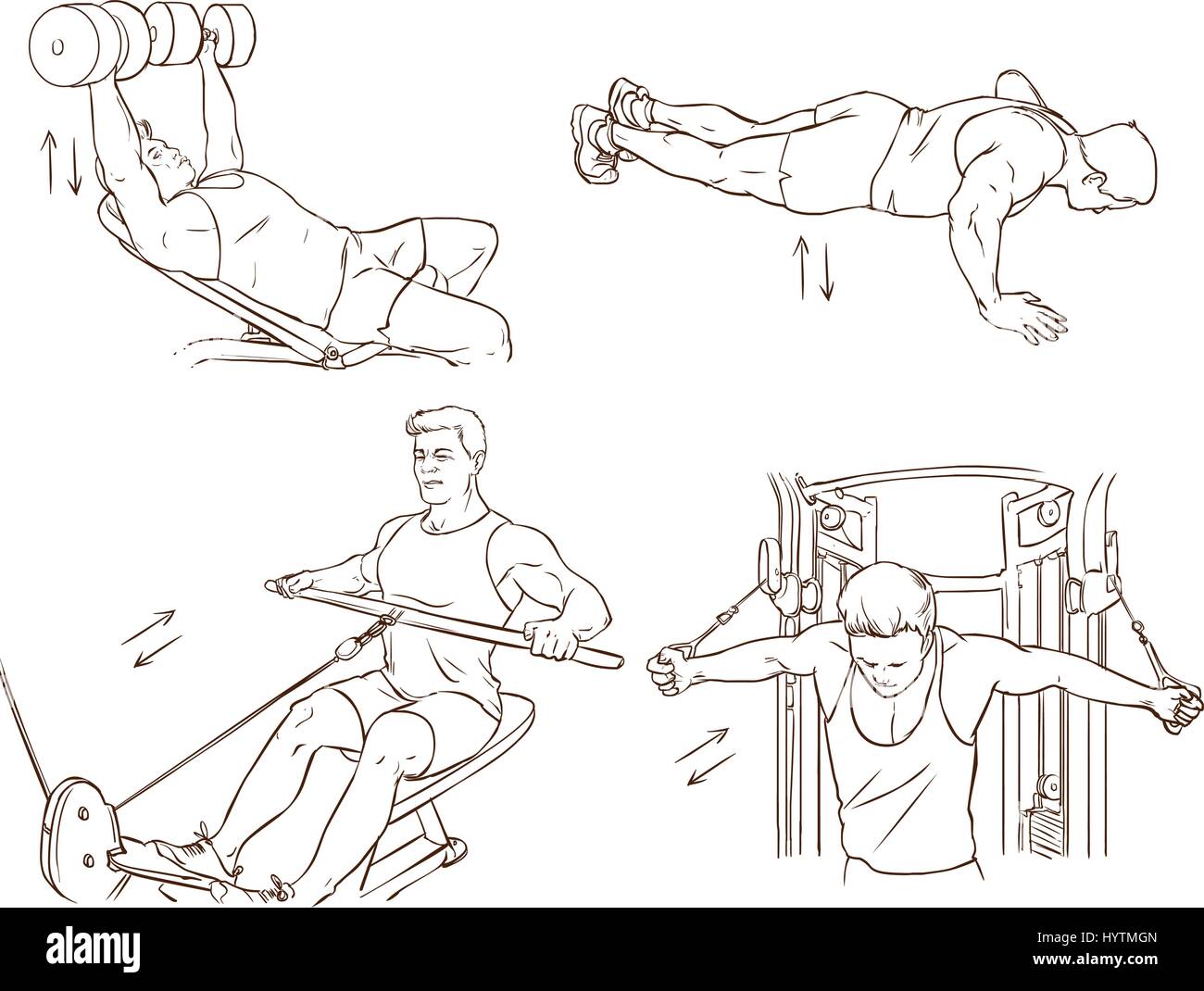 Woman gym trainer weights Stock Vector Images - Alamy