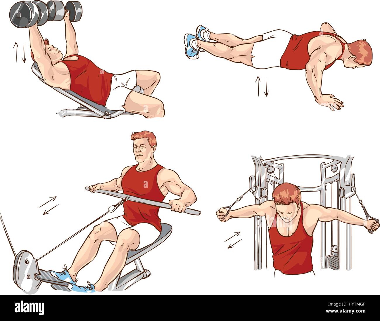 vector illustration of a bodybuilding exercise Stock Vector Image & Art ...