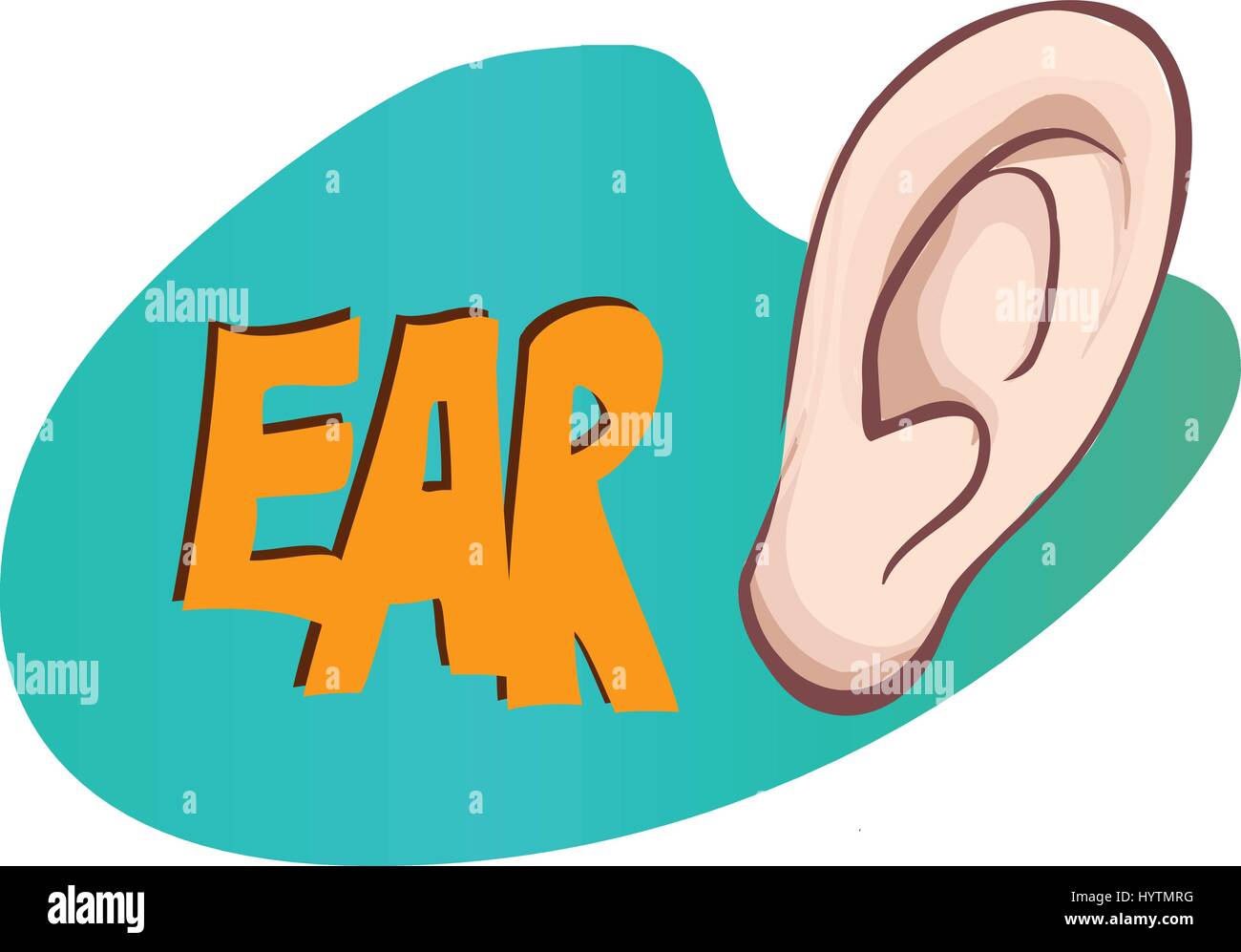 vector illustration of a ear Stock Vector Image & Art - Alamy