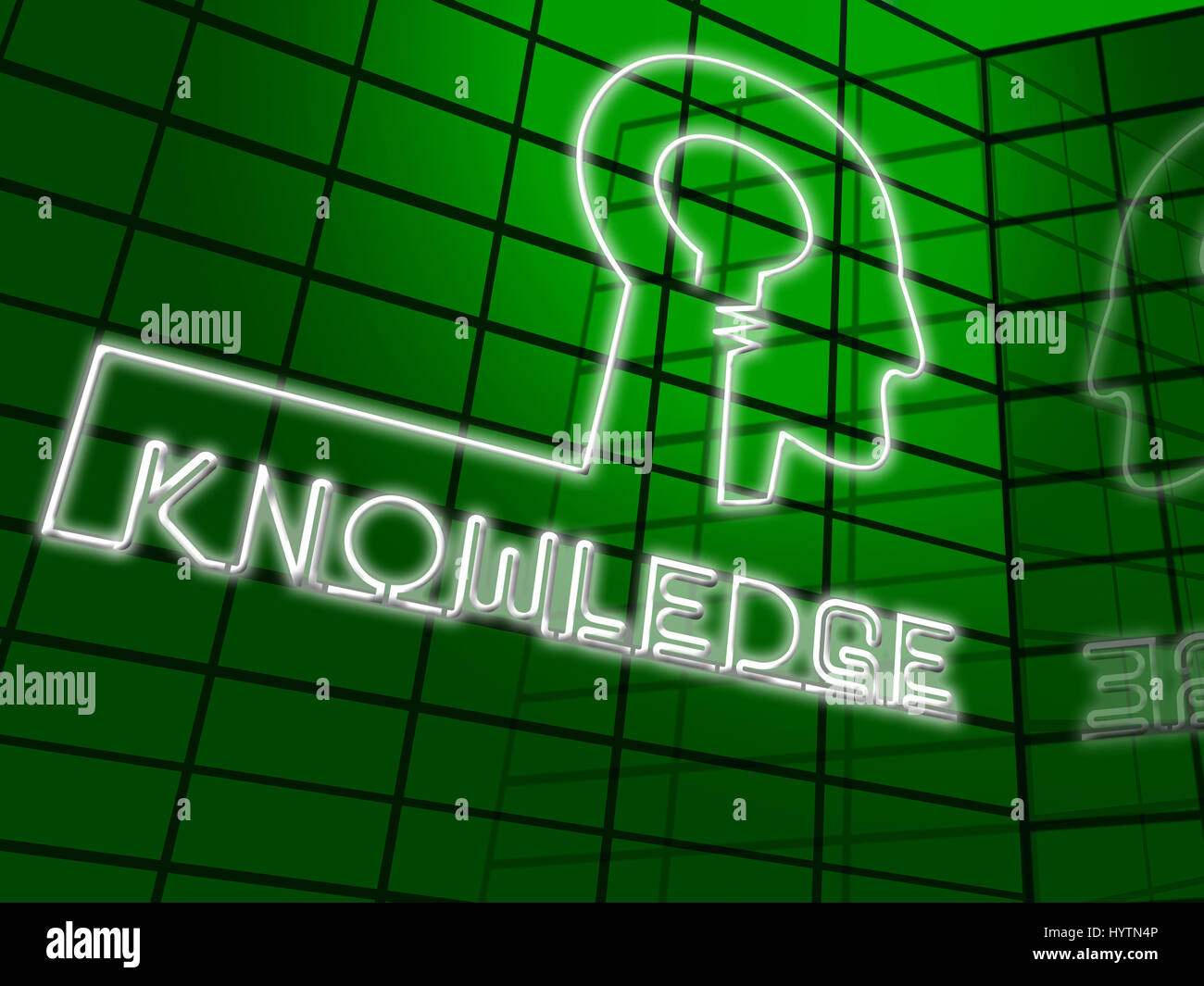 Knowledge Brain Showing Know How And Wisdom 3d Illustration Stock Photo ...