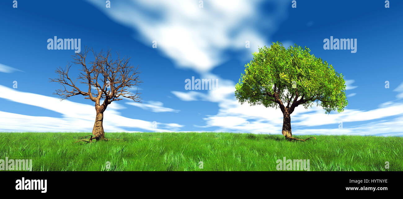 live and dead tree in the grass Stock Photo - Alamy