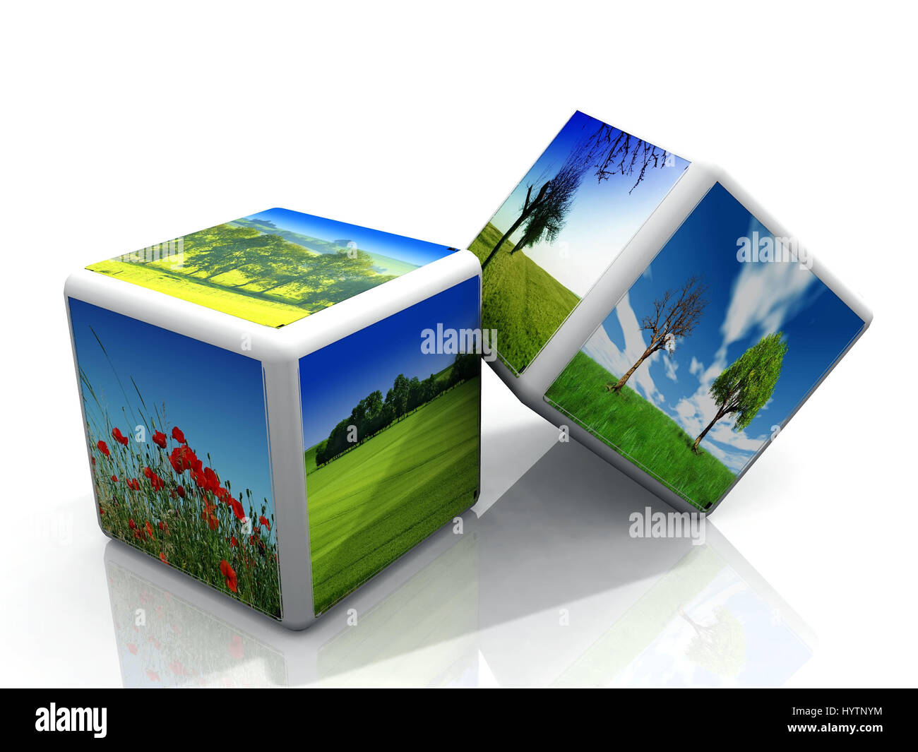 Cube with images on every face Stock Photo - Alamy