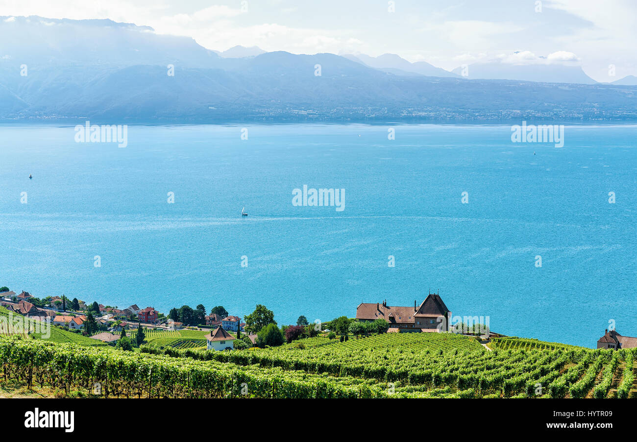 Lavaux Vineyard Terrace at Lake Geneva and Swiss mountains, Lavaux-Oron ...