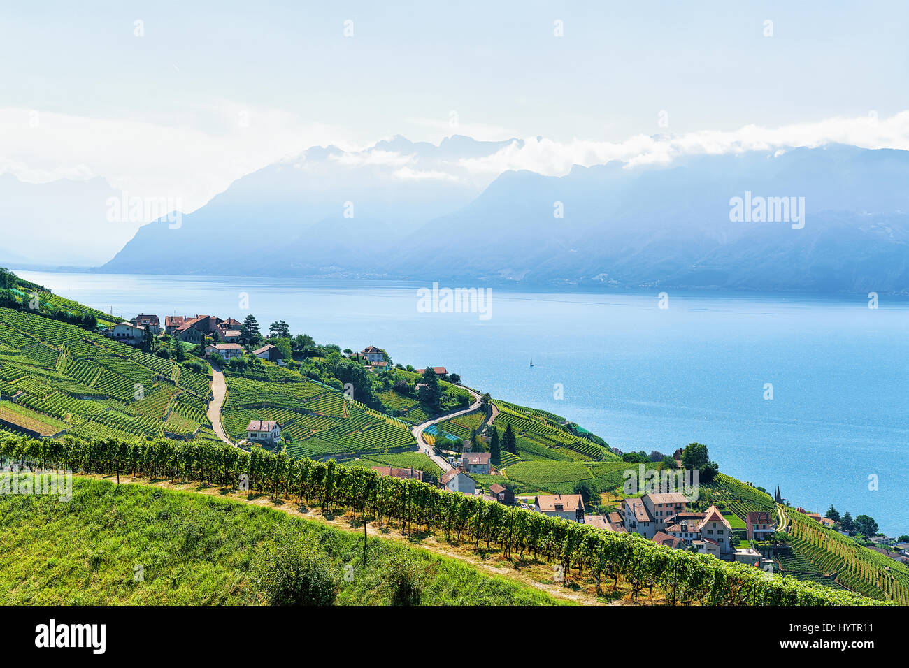 Lavaux Vineyard Terrace at Lake Geneva and Swiss mountains, Lavaux-Oron ...