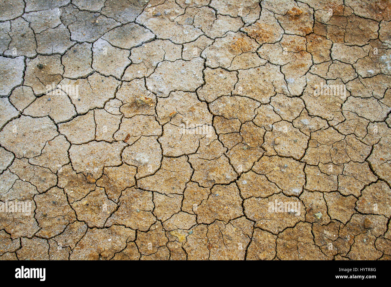 Dry earth as background Stock Photo - Alamy