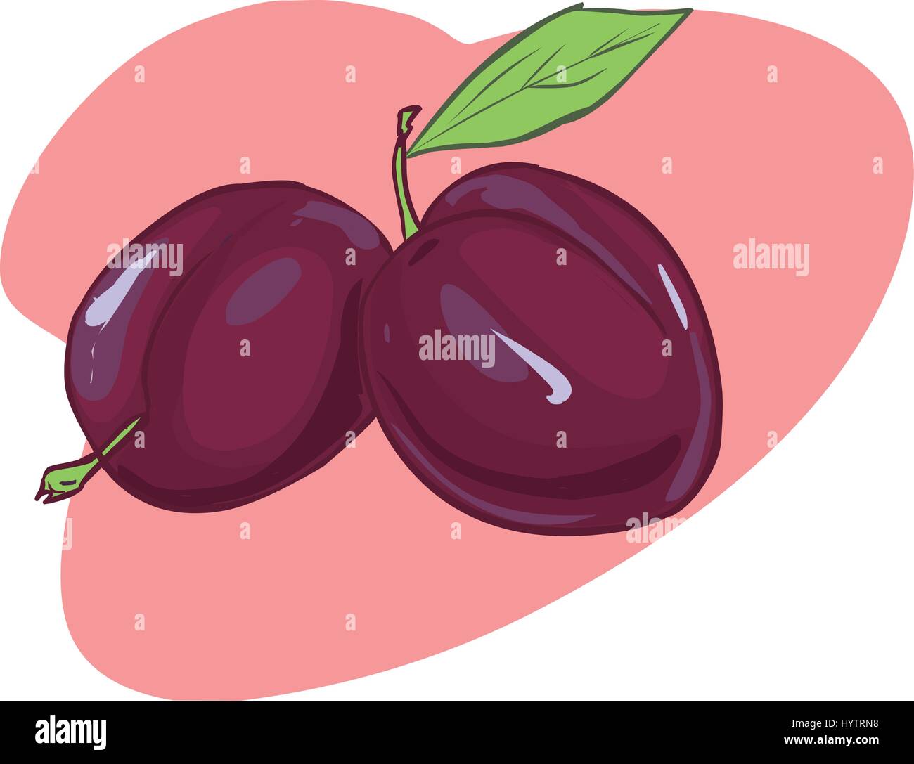 Red plum vector vectors hi-res stock photography and images - Alamy