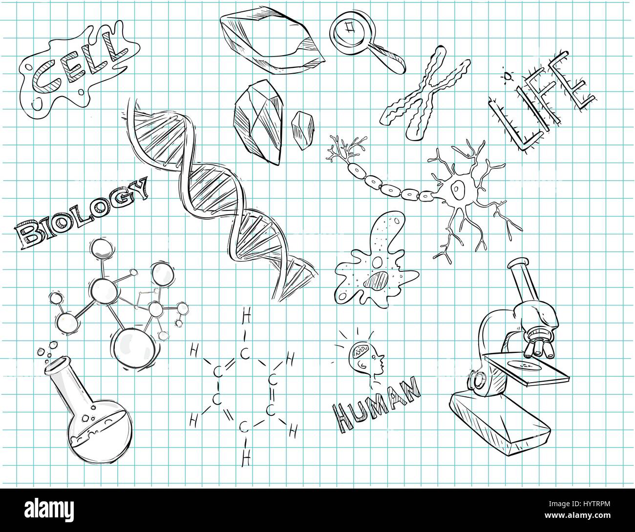 vector illustration of a hand drawn laboratory icon Stock Vector Image ...