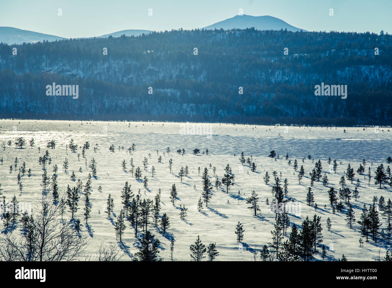 A beautiful white landscape of a frozen swamp with some trees and ...