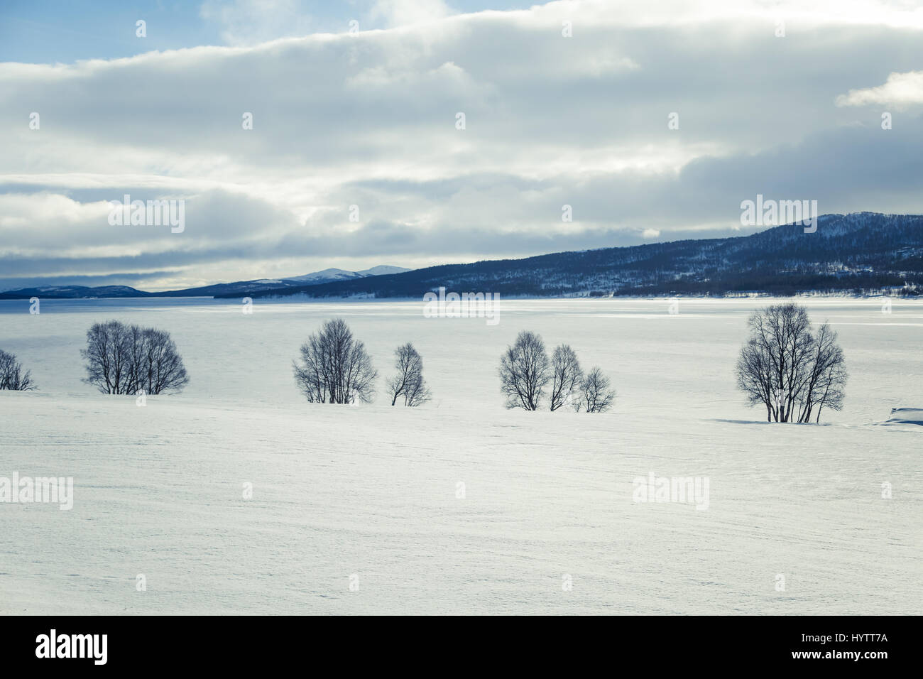 A beautiful landscape of a frozen lake in a snowy Norwegian winter day ...