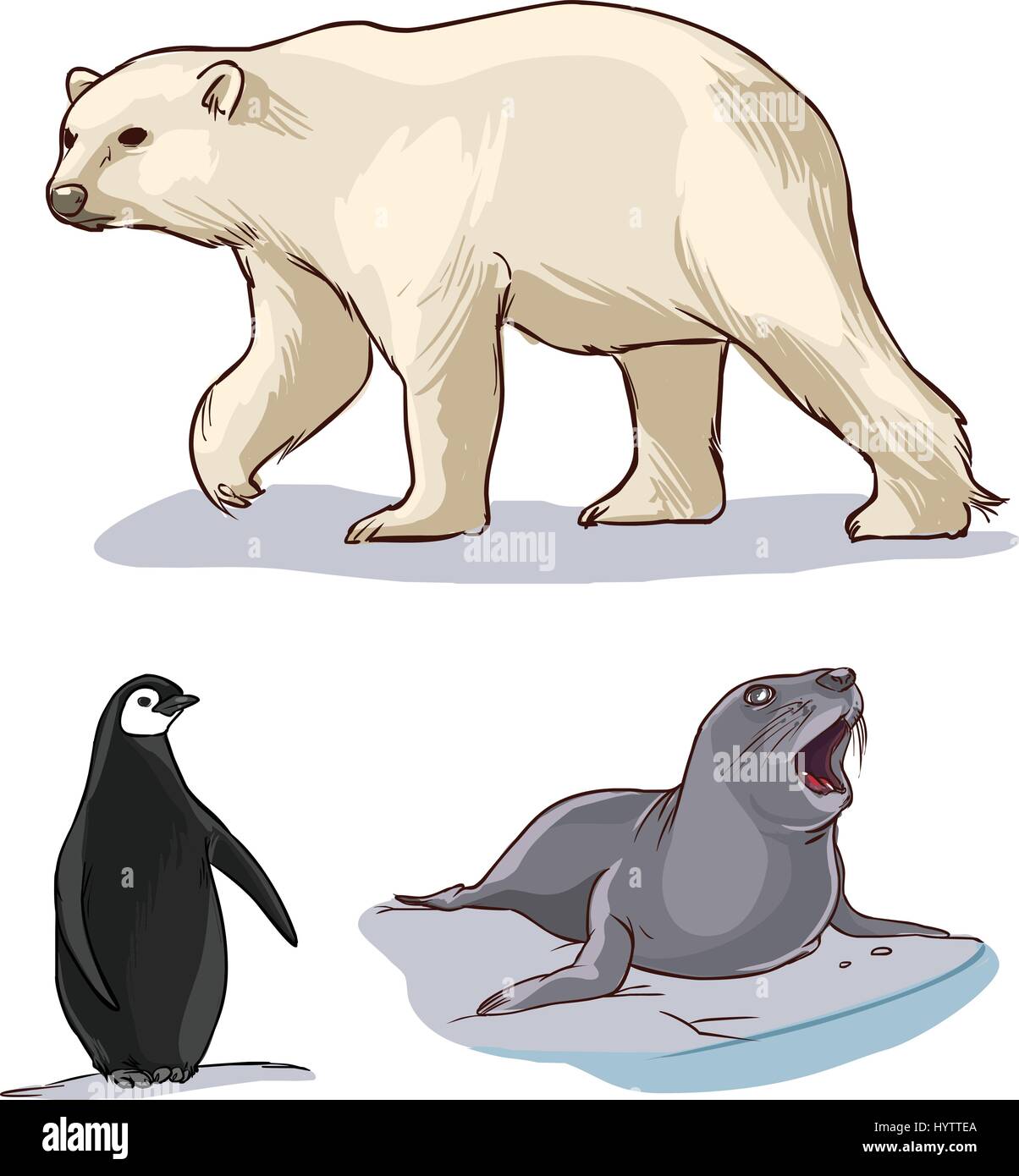 Penguins seals Stock Vector Images - Alamy