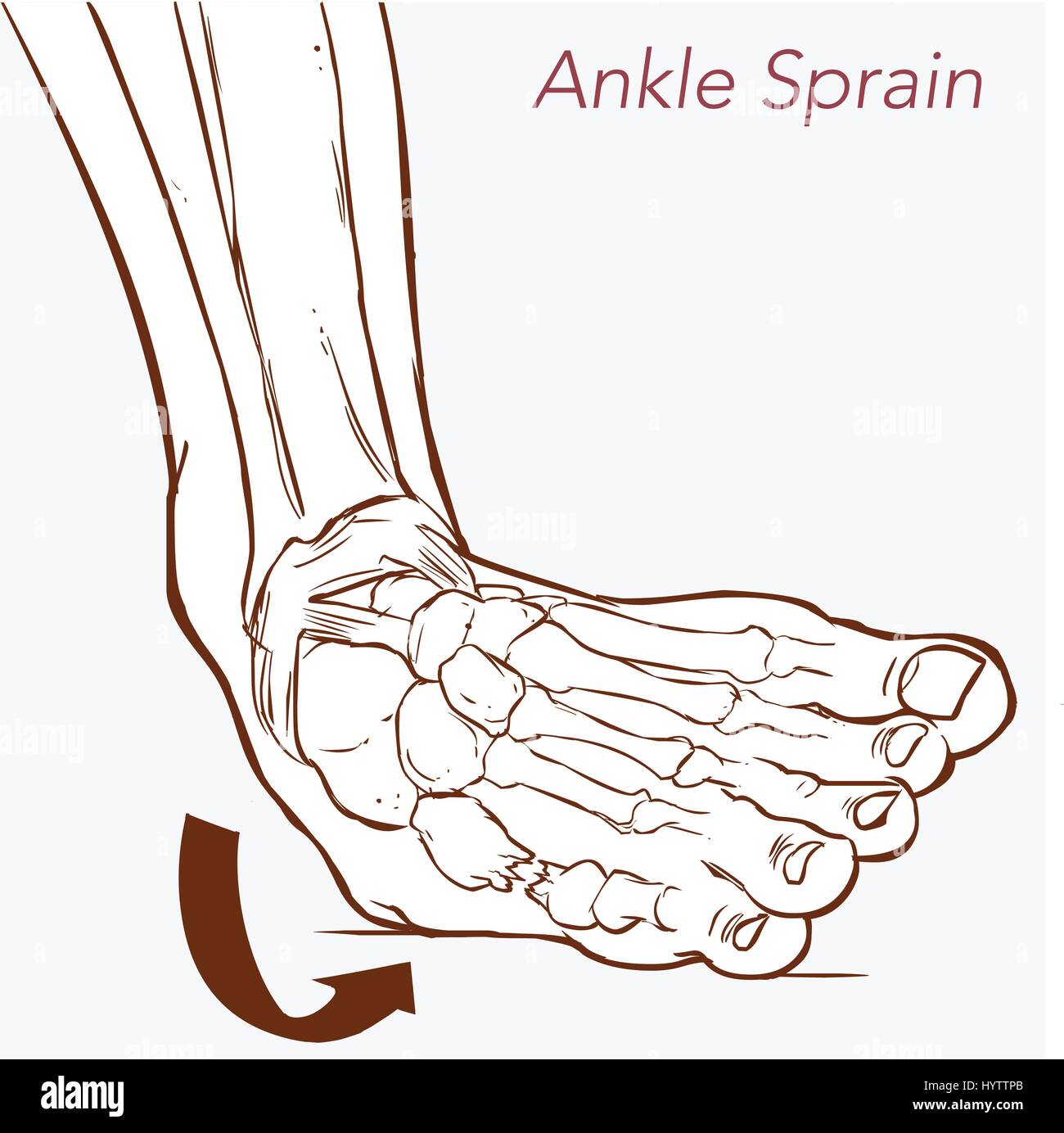 Vector illustration of a Form of toes Stock Vector Image & Art - Alamy