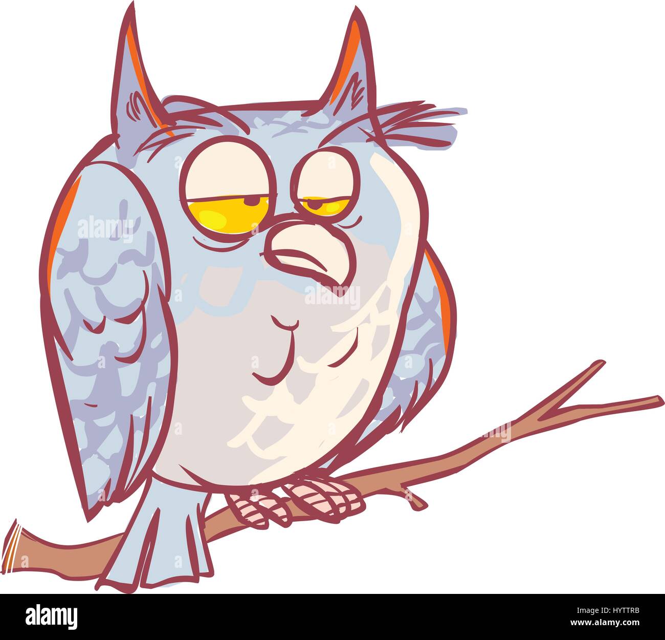 Little owl bird on Stock Vector Images - Alamy