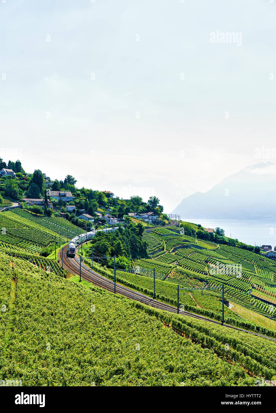 Running train in Lavaux Vineyard Terrace hiking trail at Lake Geneva ...