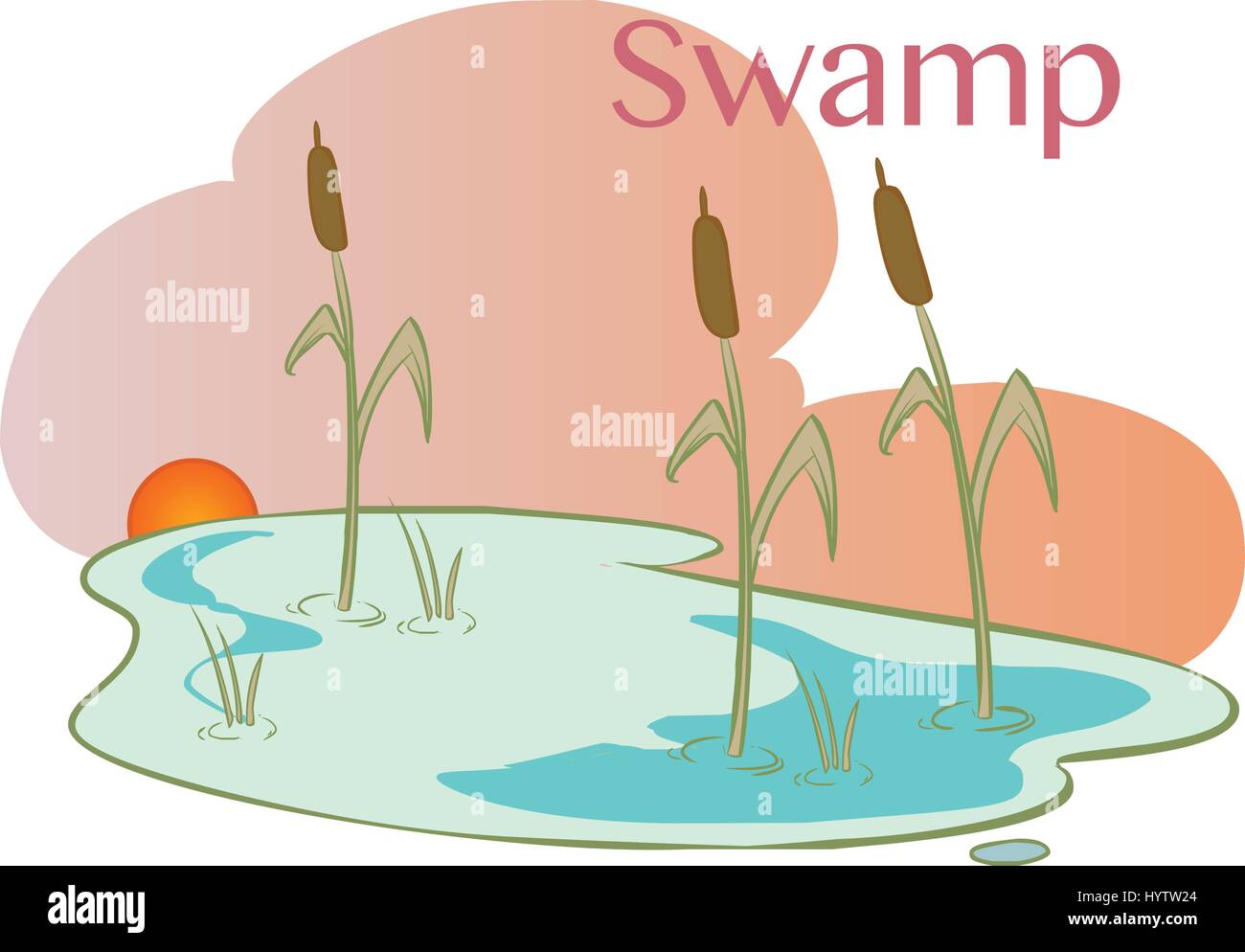 vector Illustration of a Bog Stock Vector Image & Art - Alamy