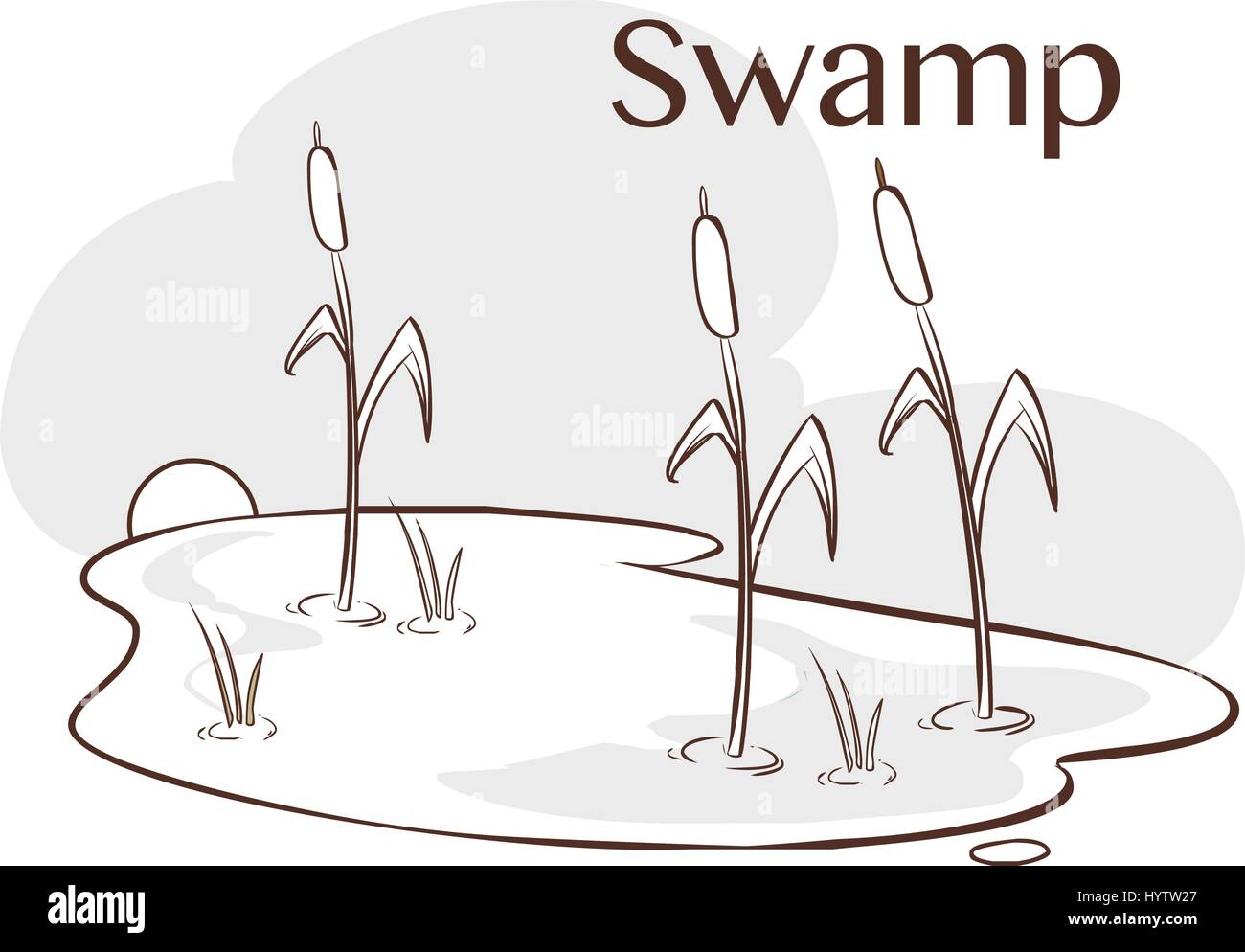 vector Illustration of a Bog Stock Vector Image & Art - Alamy