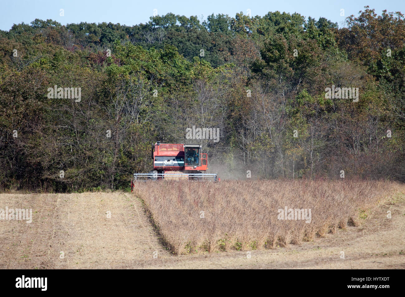 Farmer in iowa soybean field hi-res stock photography and images - Alamy