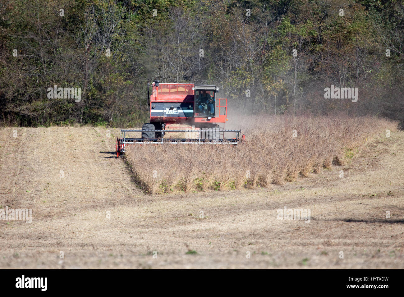 Farmer in iowa soybean field hi-res stock photography and images - Alamy