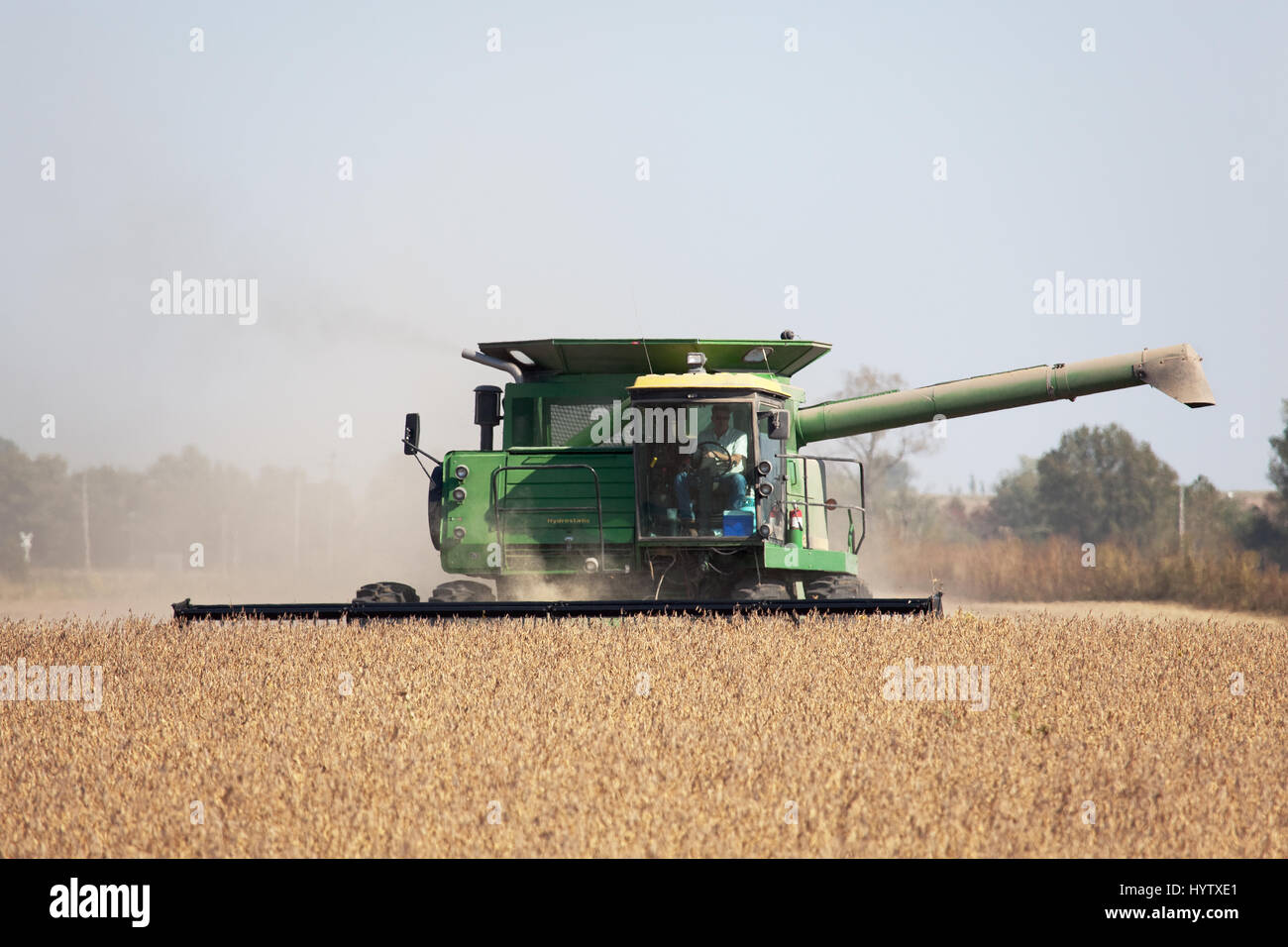 Farmer in iowa soybean field hi-res stock photography and images - Alamy