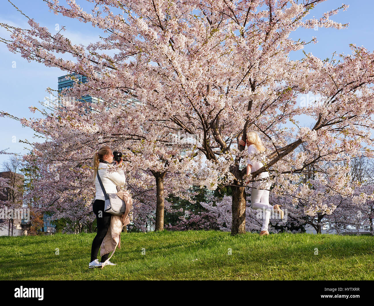 Vilnius lith hi-res stock photography and images - Alamy