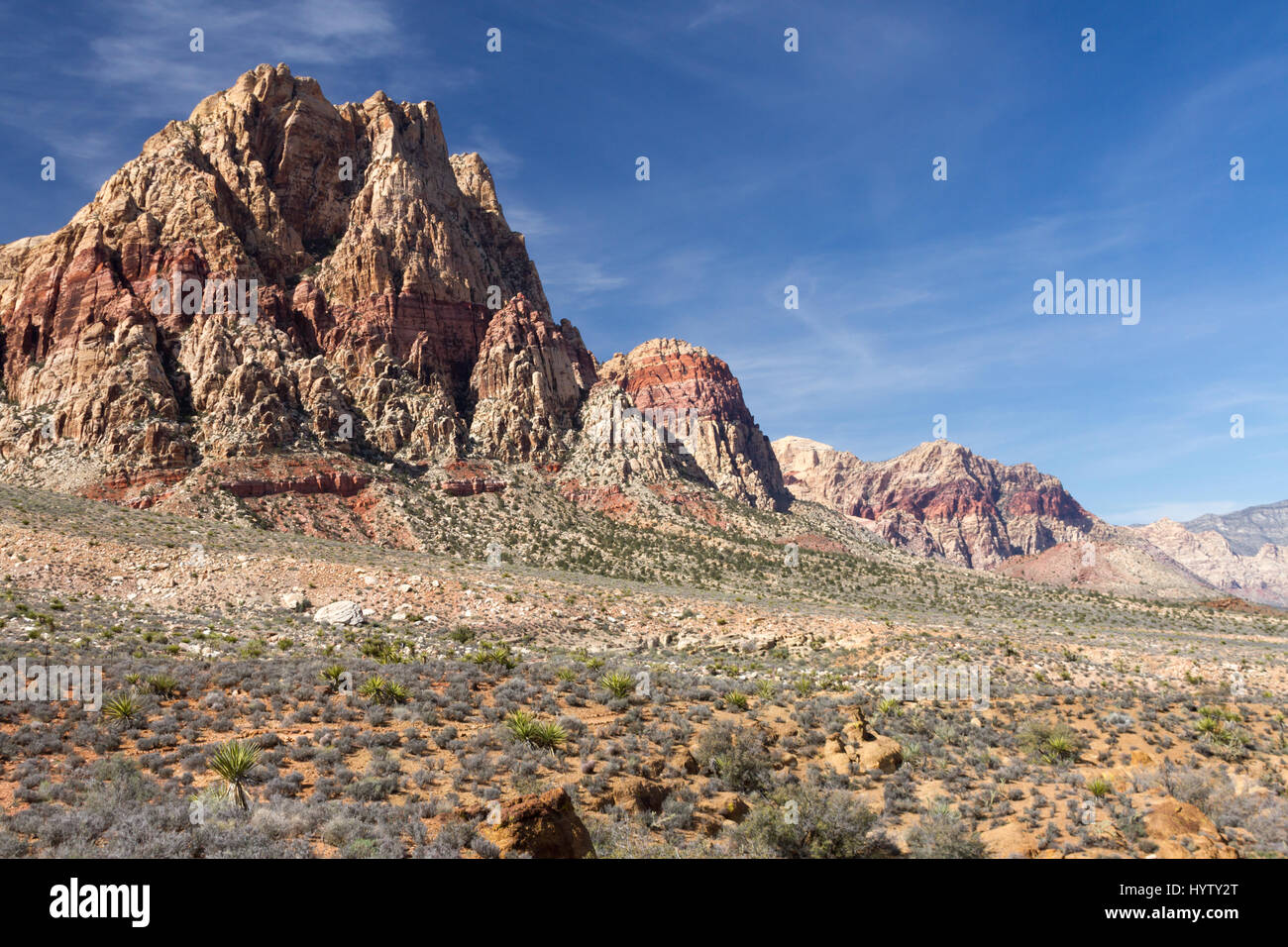 Nevada desert flora hi-res stock photography and images - Alamy