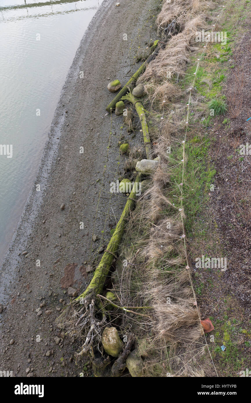 Habitat restoration hi-res stock photography and images - Alamy