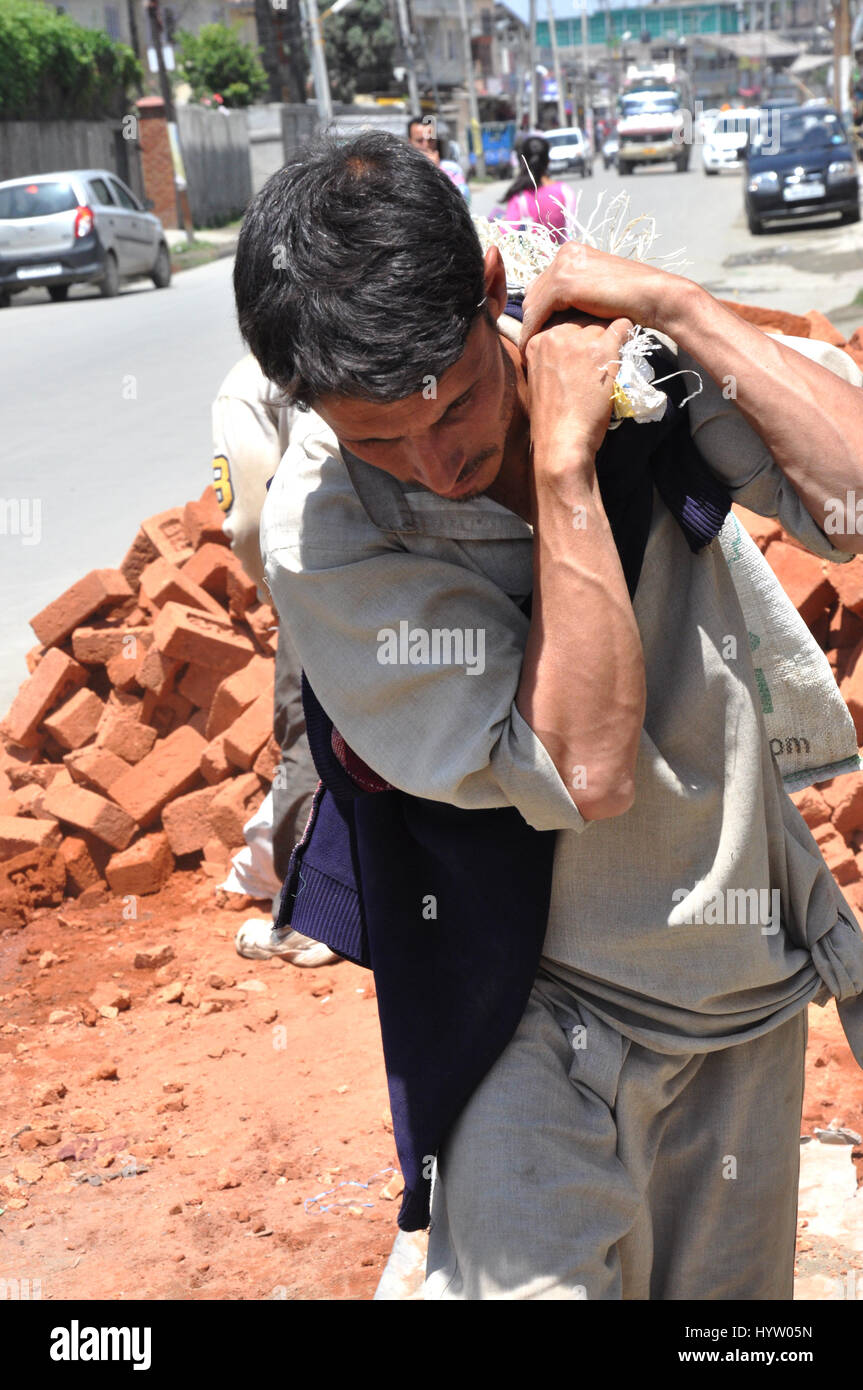 Kashmir Worker, Labour working. (Photo Copyright © by Saji Maramon ...