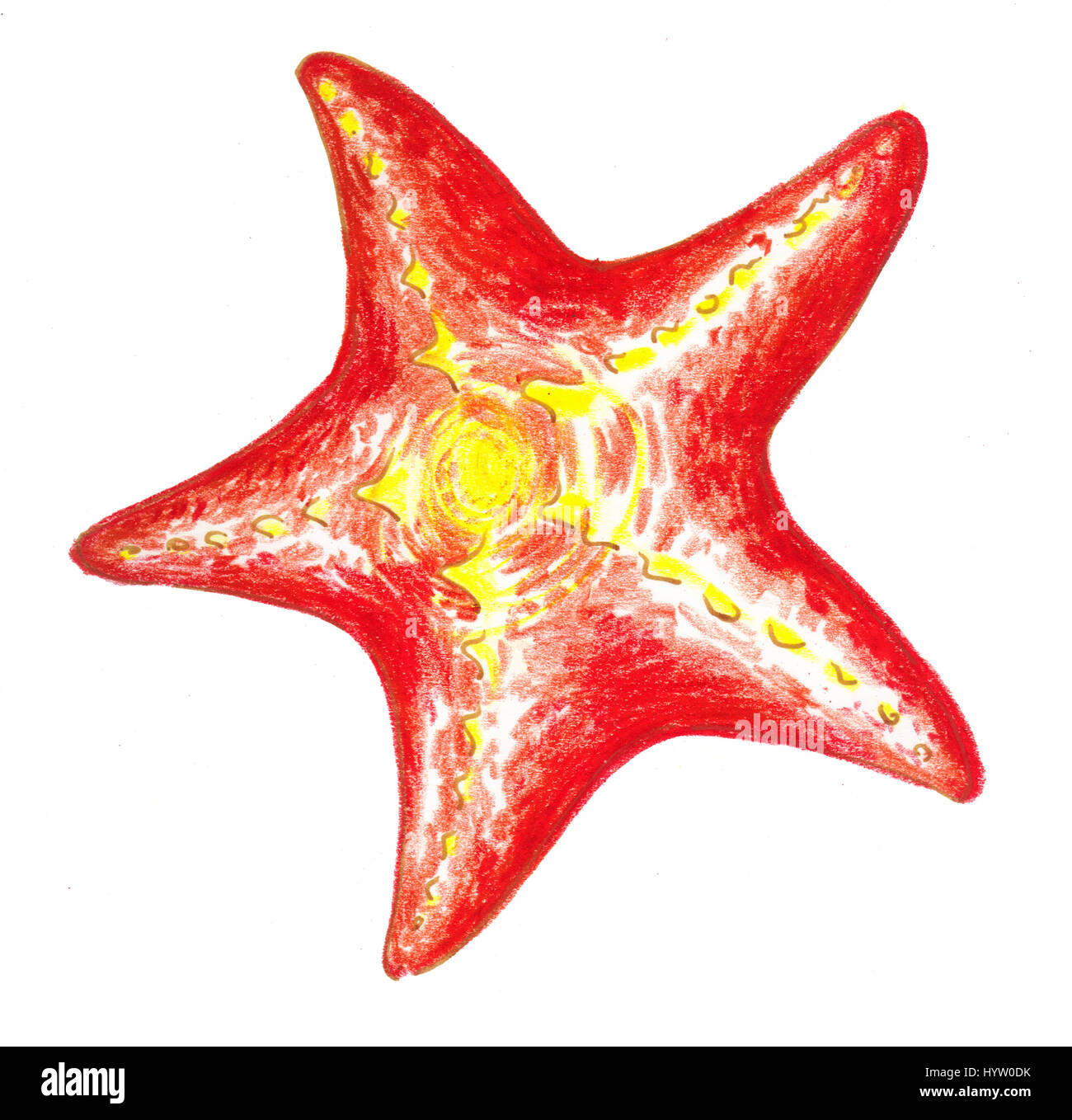 Starfish Drawing Pencil