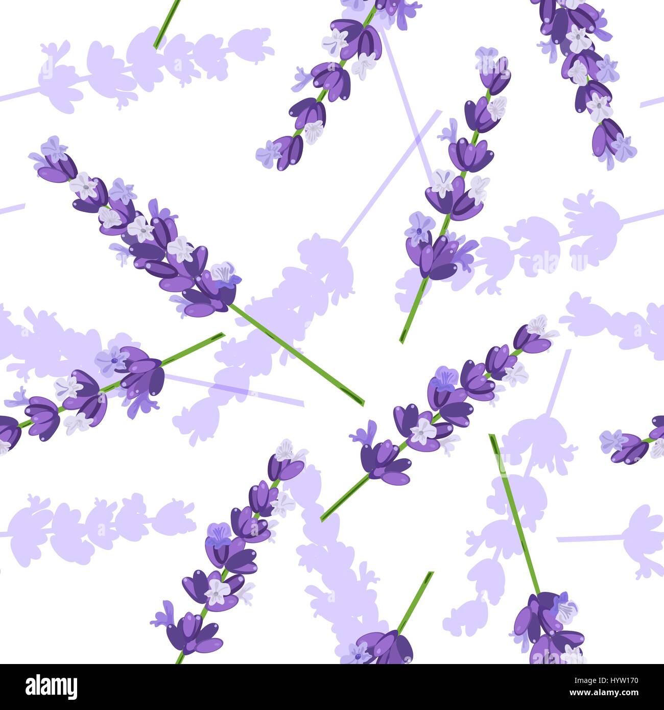 Lavender vector vectors hi-res stock photography and images - Alamy