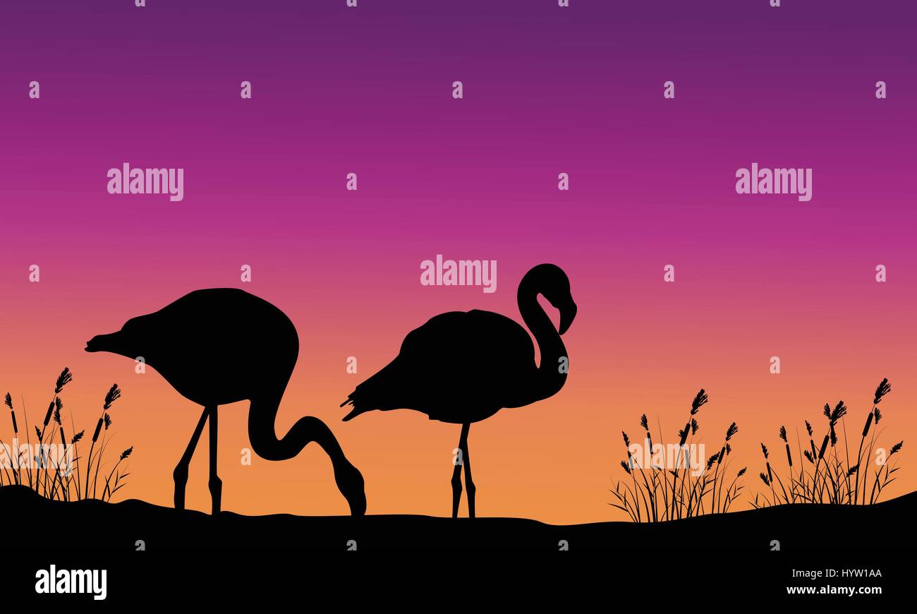 At sunset flamingo on hill scenery Stock Vector Image & Art - Alamy
