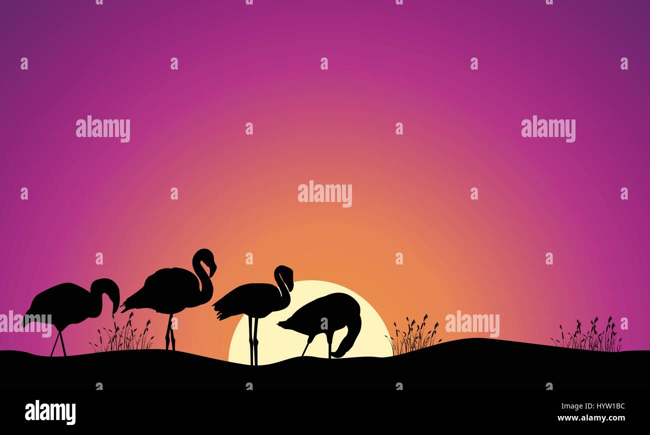 Collection stock of flamingo scene silhouettes Stock Vector Image & Art ...