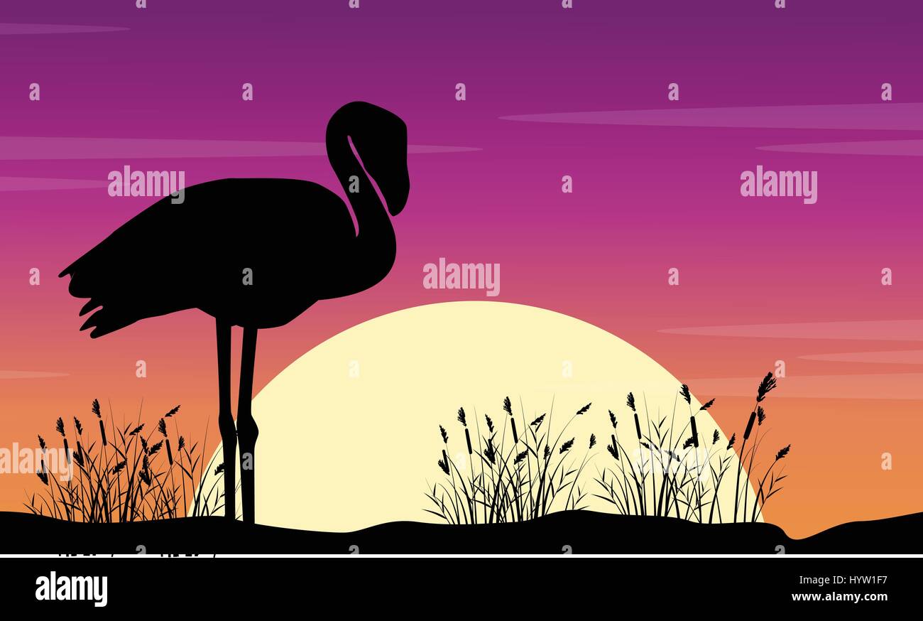 vector art flamingo scene at sunse silhouettes collection Stock Vector ...