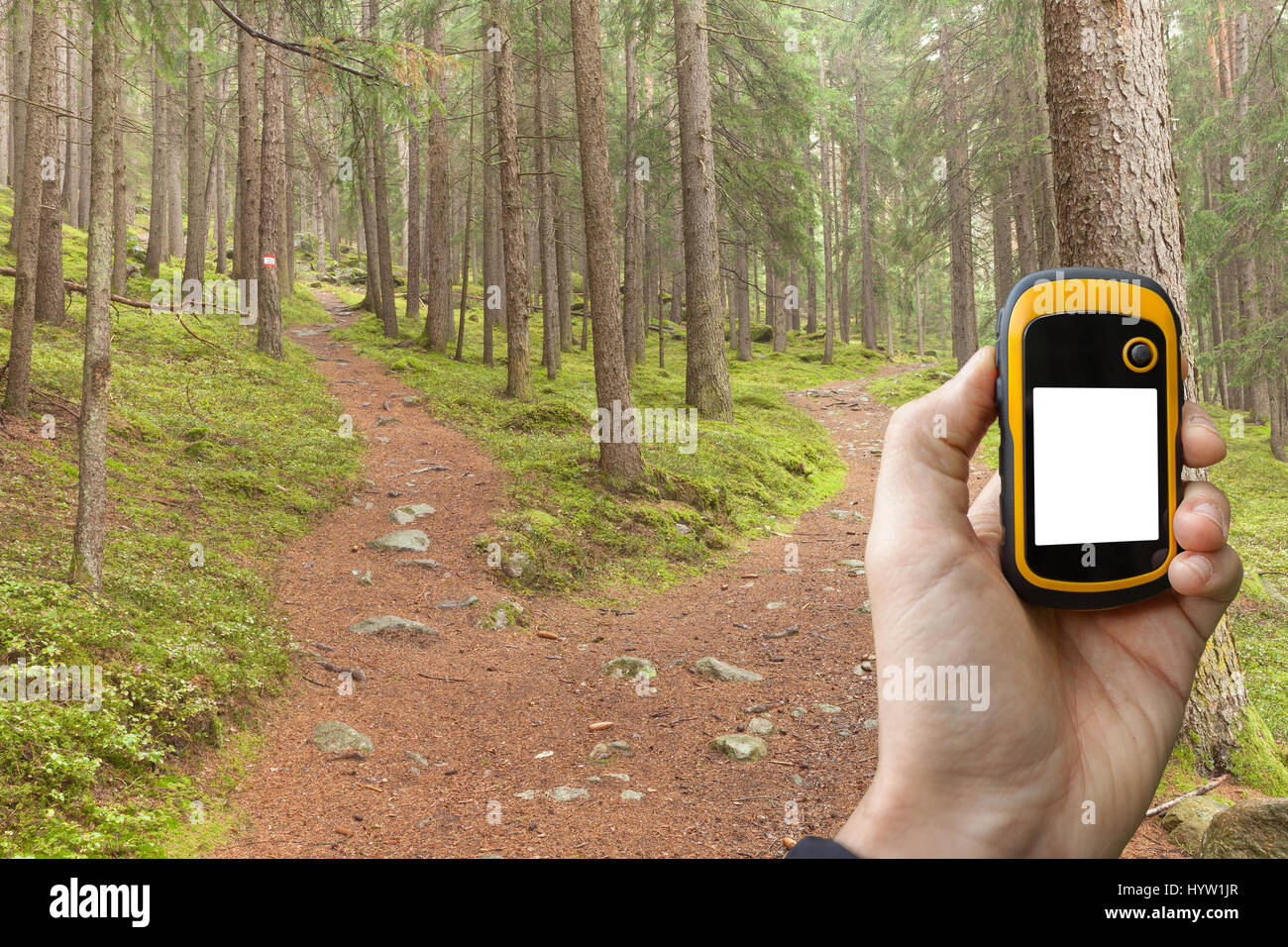 finding the right position in the forest via gps Stock Photo - Alamy