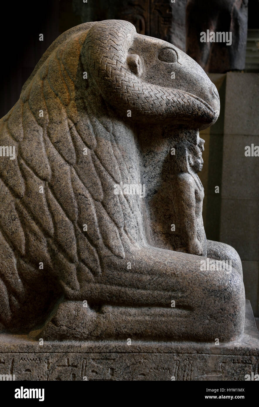 Granitic Gneiss sphinx of the ram of Amun protecting figure of Taharqo ...