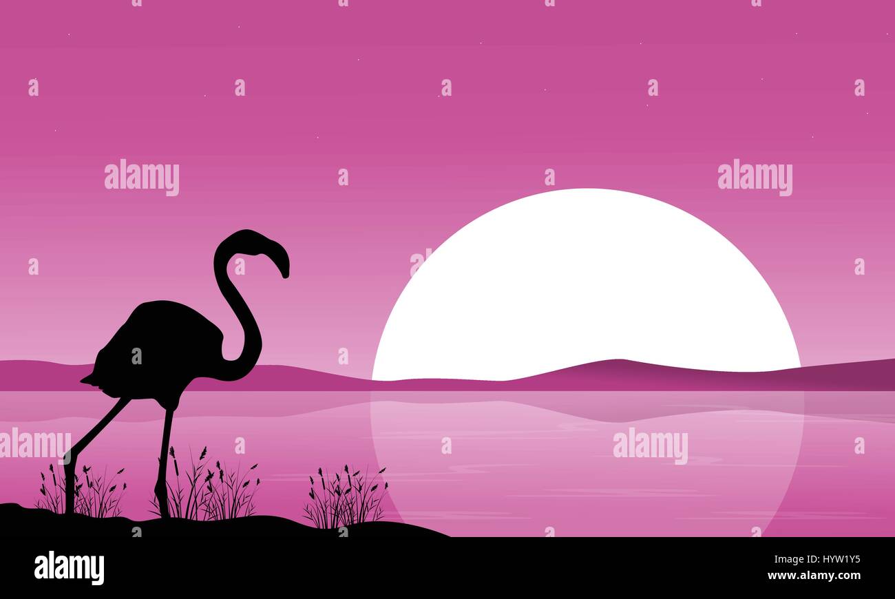Collection flamingo scenery at sunset Stock Vector Image & Art - Alamy