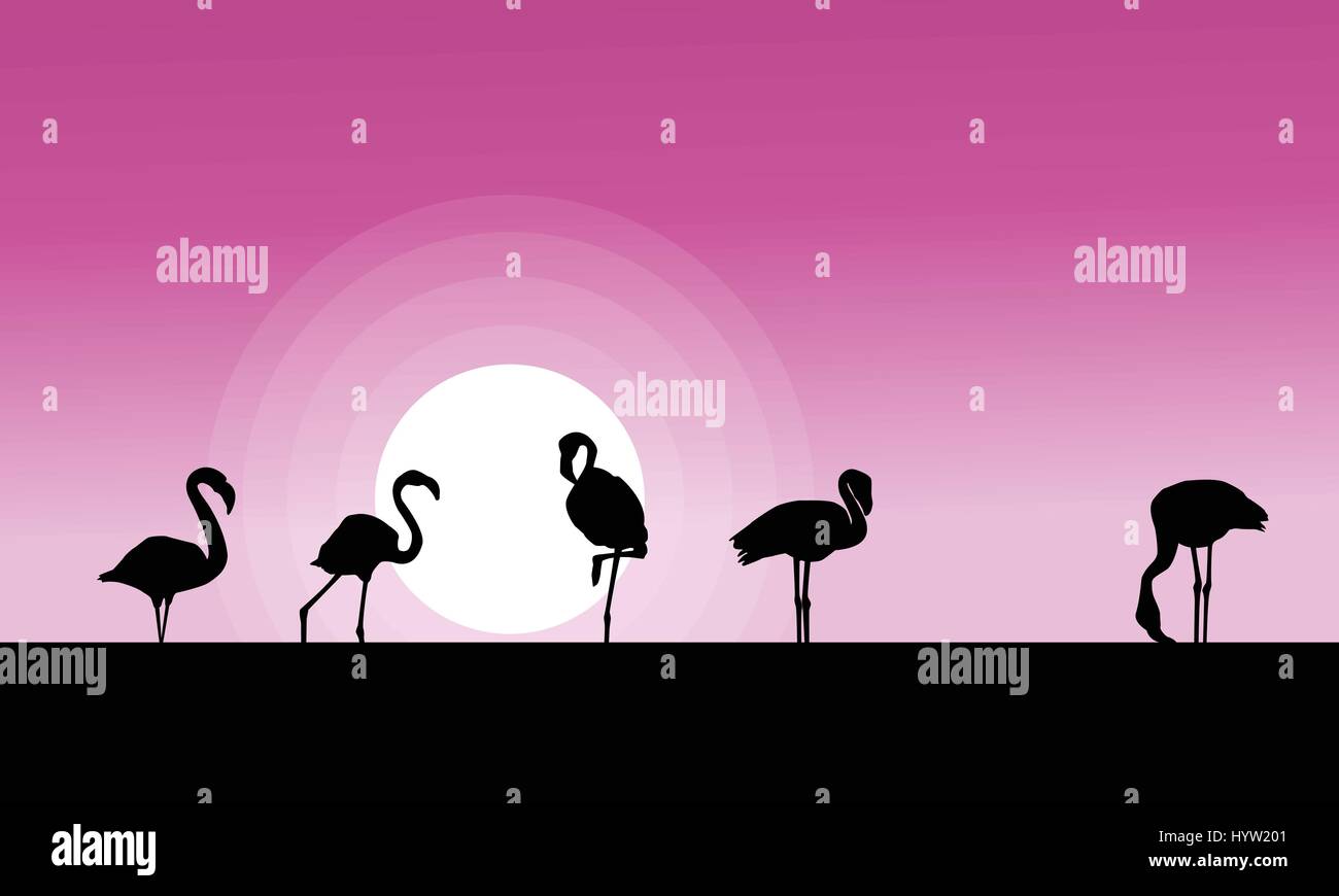 Collection stock of flamingo at sunset scene Stock Vector Image & Art ...