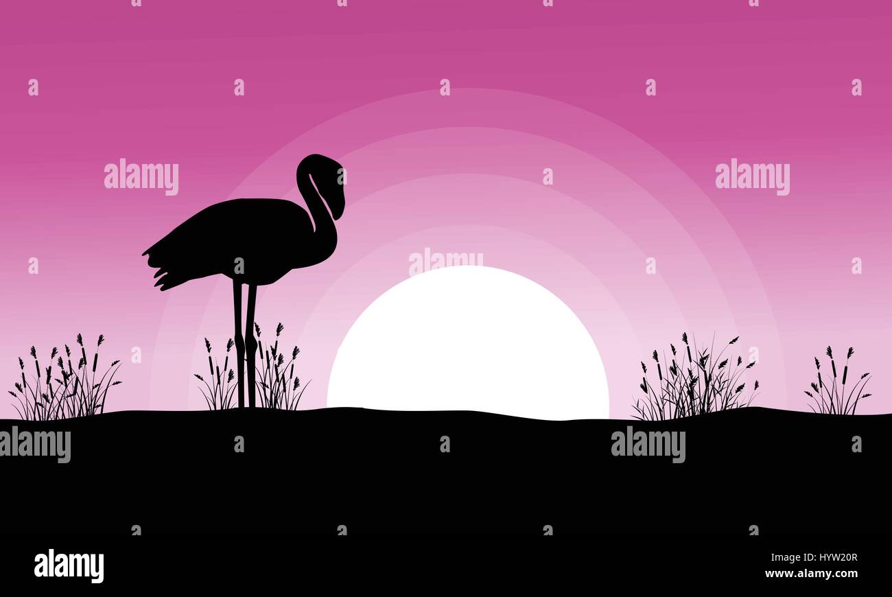 Flamingo at sunset landscape silhouettes Stock Vector Image & Art - Alamy