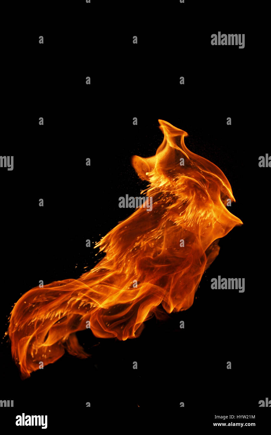 Blaze of Fire Stock Photo - Alamy