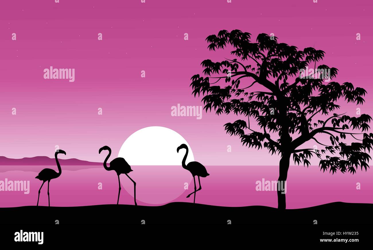 Collection flamingo at sunset background Stock Vector Image & Art - Alamy