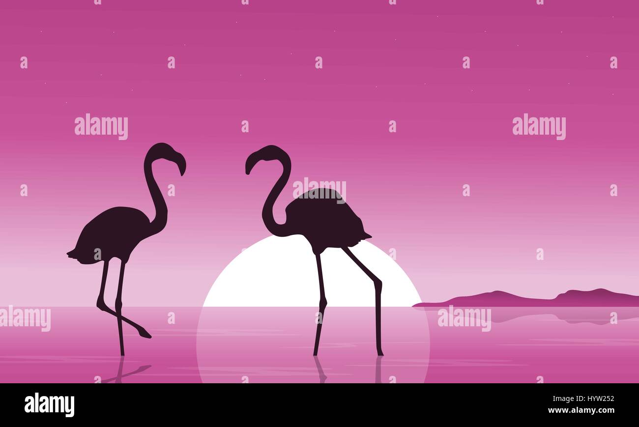 Collection of flamingo at sunset scenery Stock Vector Image & Art - Alamy