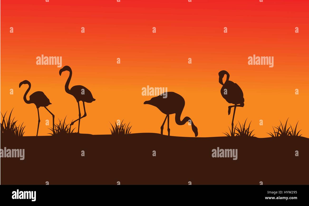 Flamingo scenery at sunset silhouettes Stock Vector Image & Art - Alamy