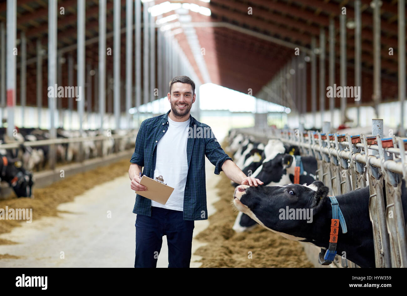 farmer with clipboard and cows in cowshed on farm Stock Photo - Alamy