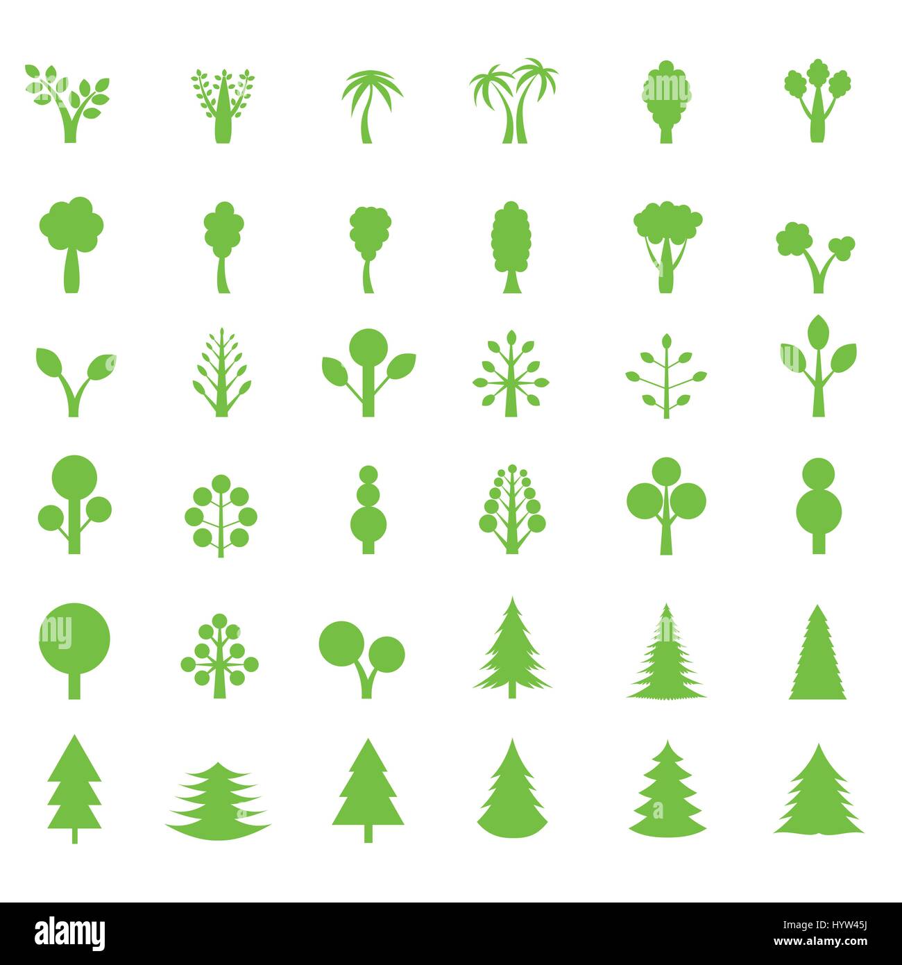 Tropical evergreen forest Stock Vector Images - Alamy