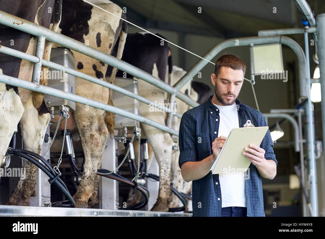 man with clipboard and milking cows on dairy farm Stock Photo - Alamy