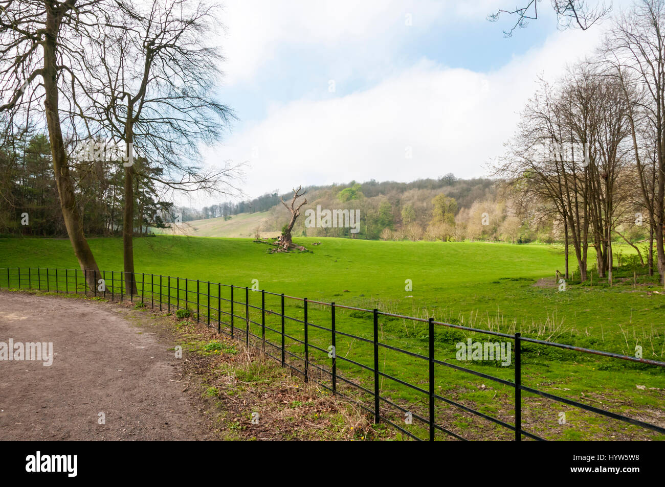 The parkland of Gatton Park designed by Lancelot 'Capability' Brown ...