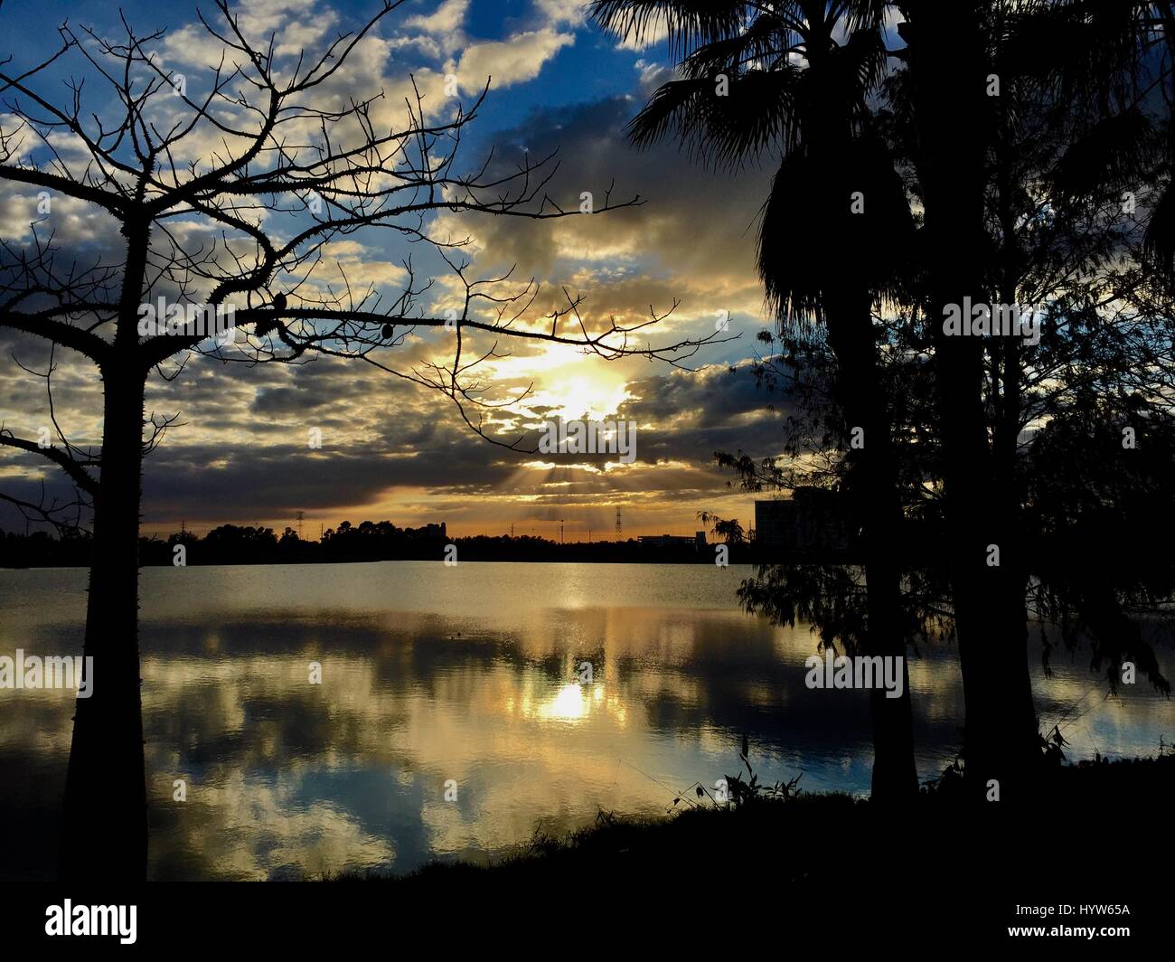 Florida lakes hi-res stock photography and images - Alamy