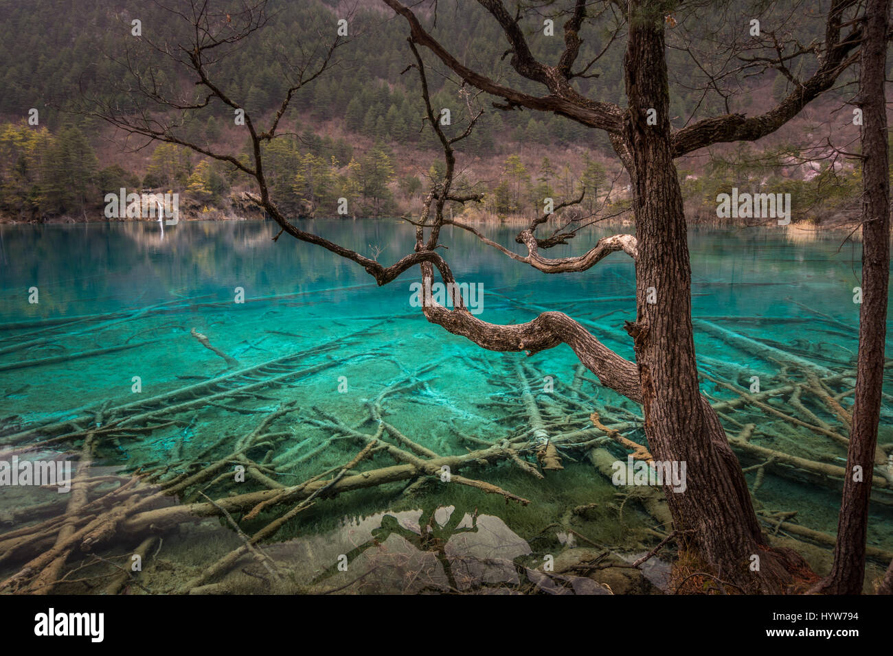 A quiet area in Spring with nobody around looking across one of the ...