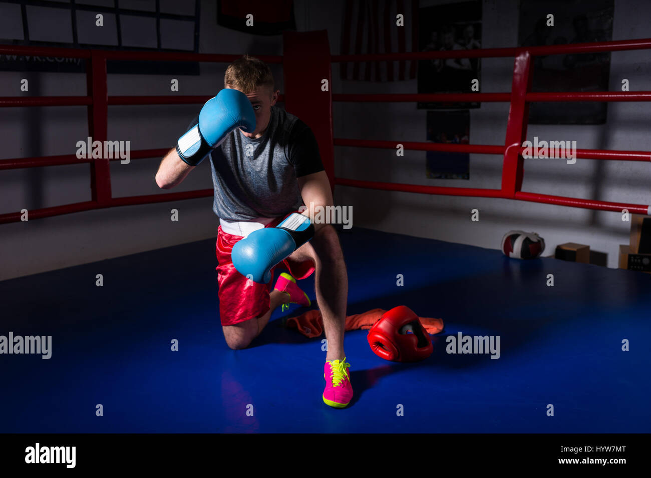 Sporty male boxer in boxing gloves stands on one knee in regular boxing ...