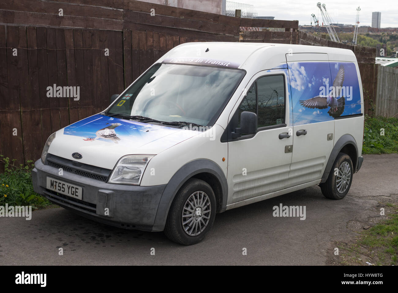 Racing pigeon transport hi-res stock photography and images - Alamy