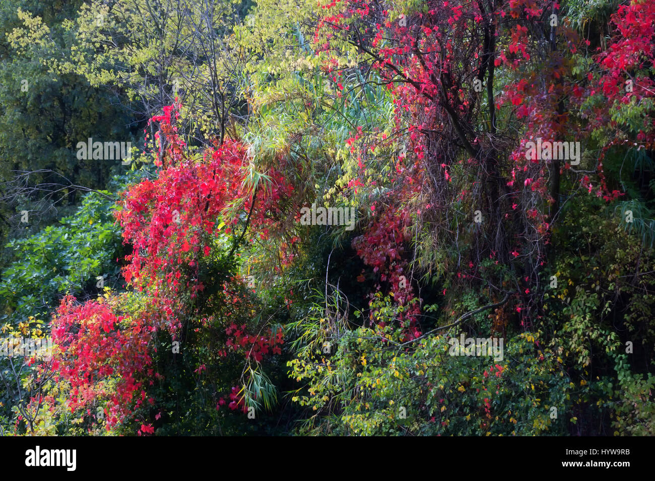 A change of seasons Stock Photo - Alamy